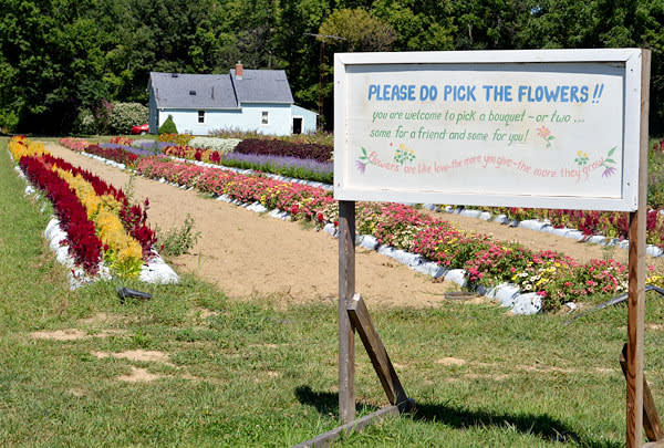 The Chef's Garden: A Very Unusual Family Farm in Ohio | Kitchn
