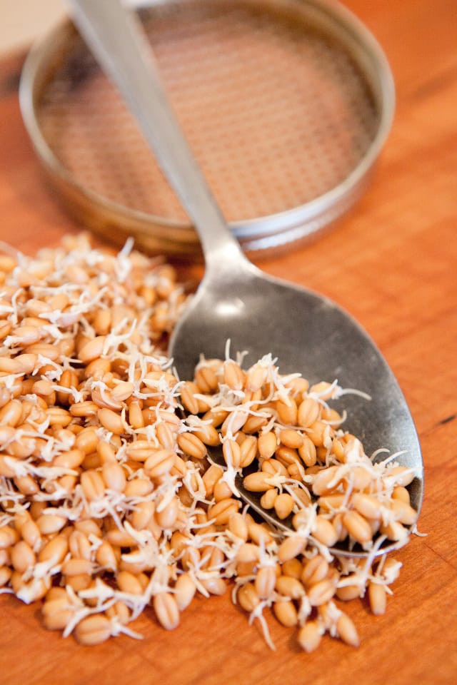 3 Things You Probably Didn't Know About Sprouted Flour | Kitchn