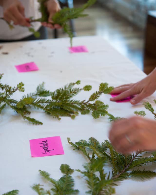 A Cozy Holiday Potluck with Friends: How to Plan a Great Potluck Dinner ...