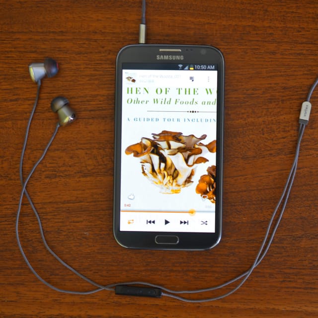 Wild Food in the City and Country: 4 New Books about Foraging | Kitchn