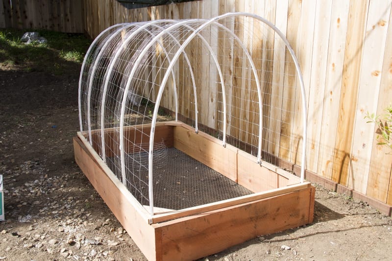 DIY Covered Greenhouse Garden: A Removable Cover Solution to Protect ...