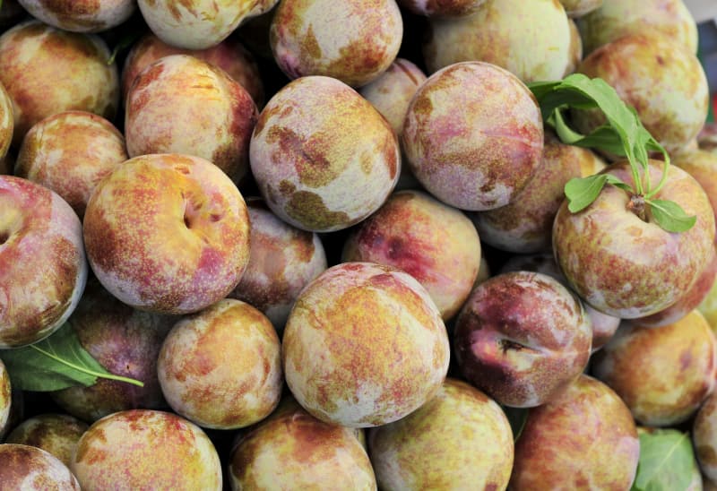How Pluots, Apriums, and Plumcots Get Their Names | Kitchn