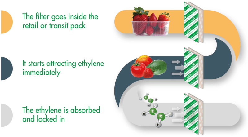 Want to Extend the Shelf Life of Fruits and Vegetables? This New ...