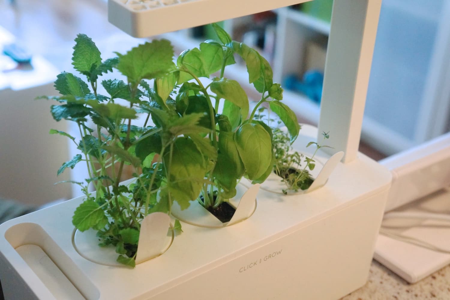 Click and Grow Smart Herb Garden | Apartment Therapy