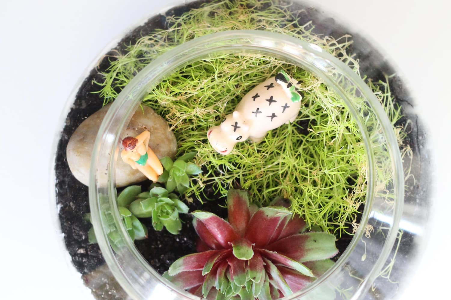 How To Make a Terrarium | Apartment Therapy