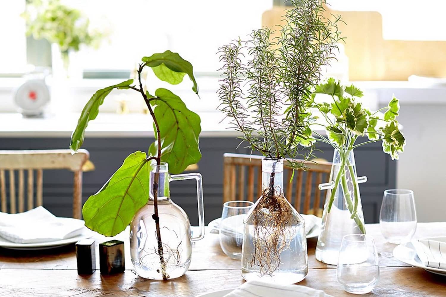 How to Grow Plants Glass Containers — Hydroponic Gardening | Apartment ...