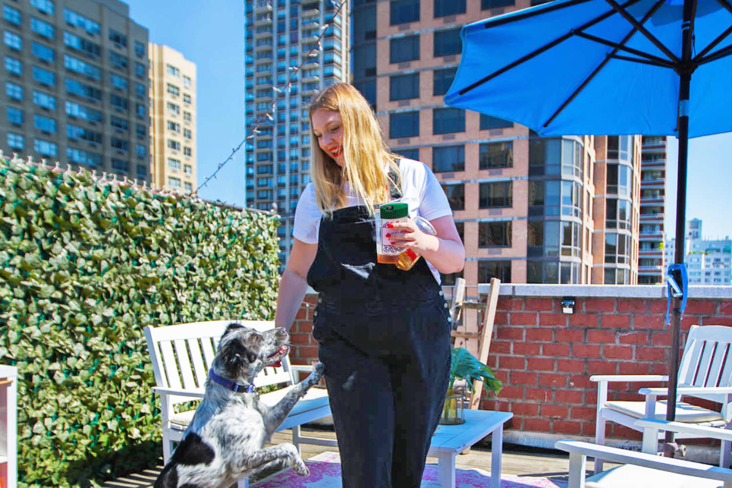 Olivia Muenter Apartment Therapy at Jonathan Perez blog