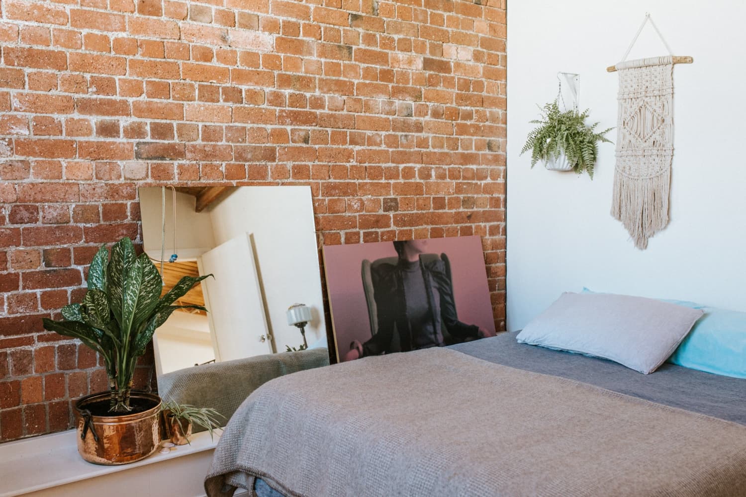 Dieffenbachia Plant Care - How to Grow & Maintain Dumb Canes ...