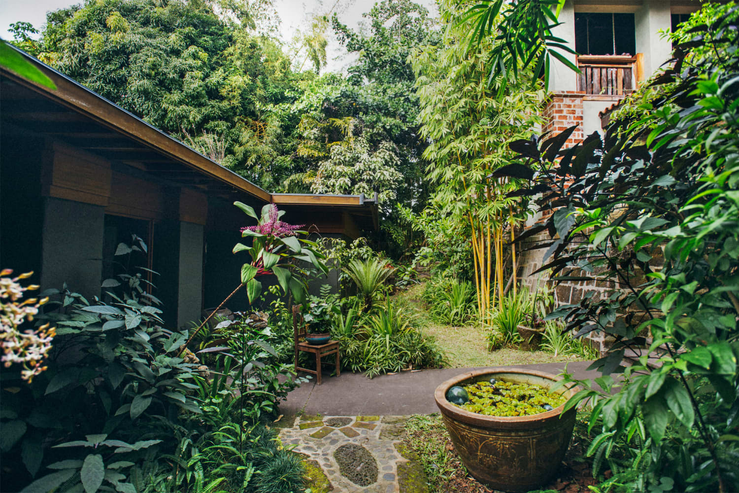 Rustic Bohemian Hawaii Home Surrounded by Jungle | Apartment Therapy