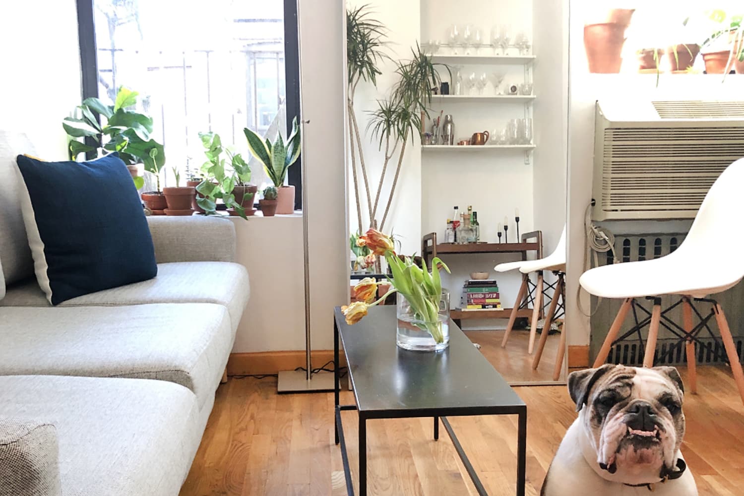 Small Apartment Decor and Storage Solutions | Apartment Therapy