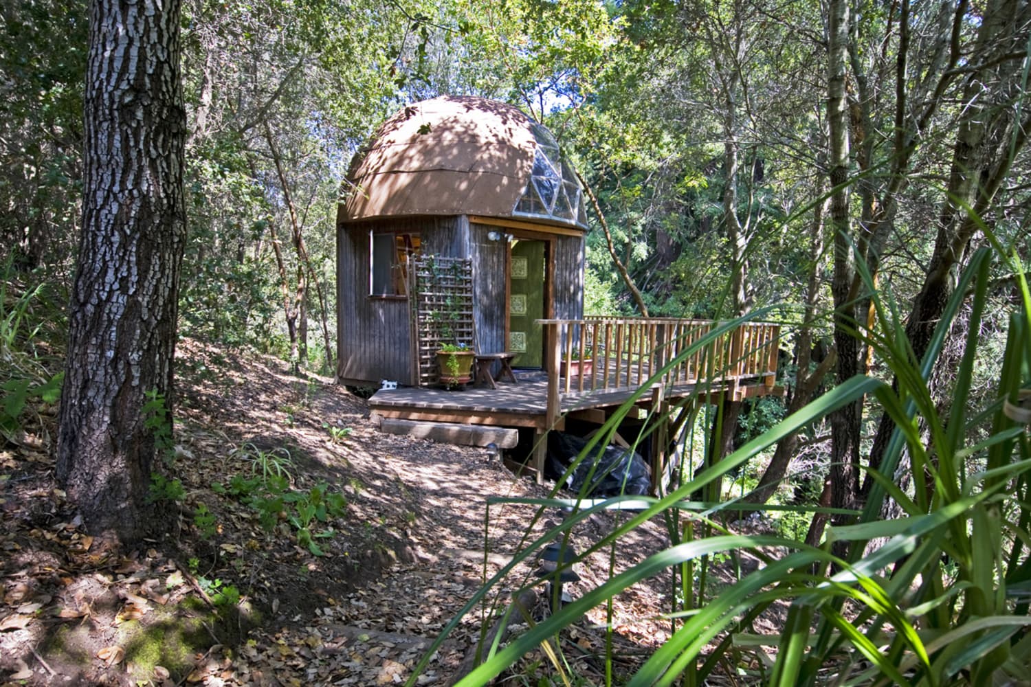 Tiny House Popular Airbnb Mushroom Dome | Apartment Therapy