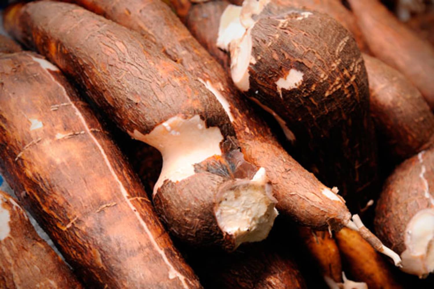 What’s the Difference Between: Yuca and Yucca? | The Kitchn