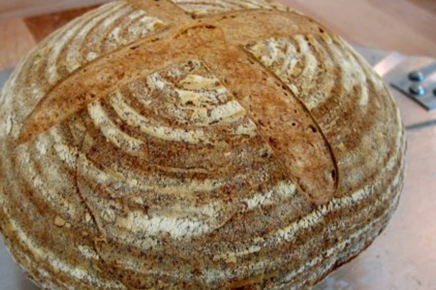 Word of Mouth: Oven Spring | The Kitchn