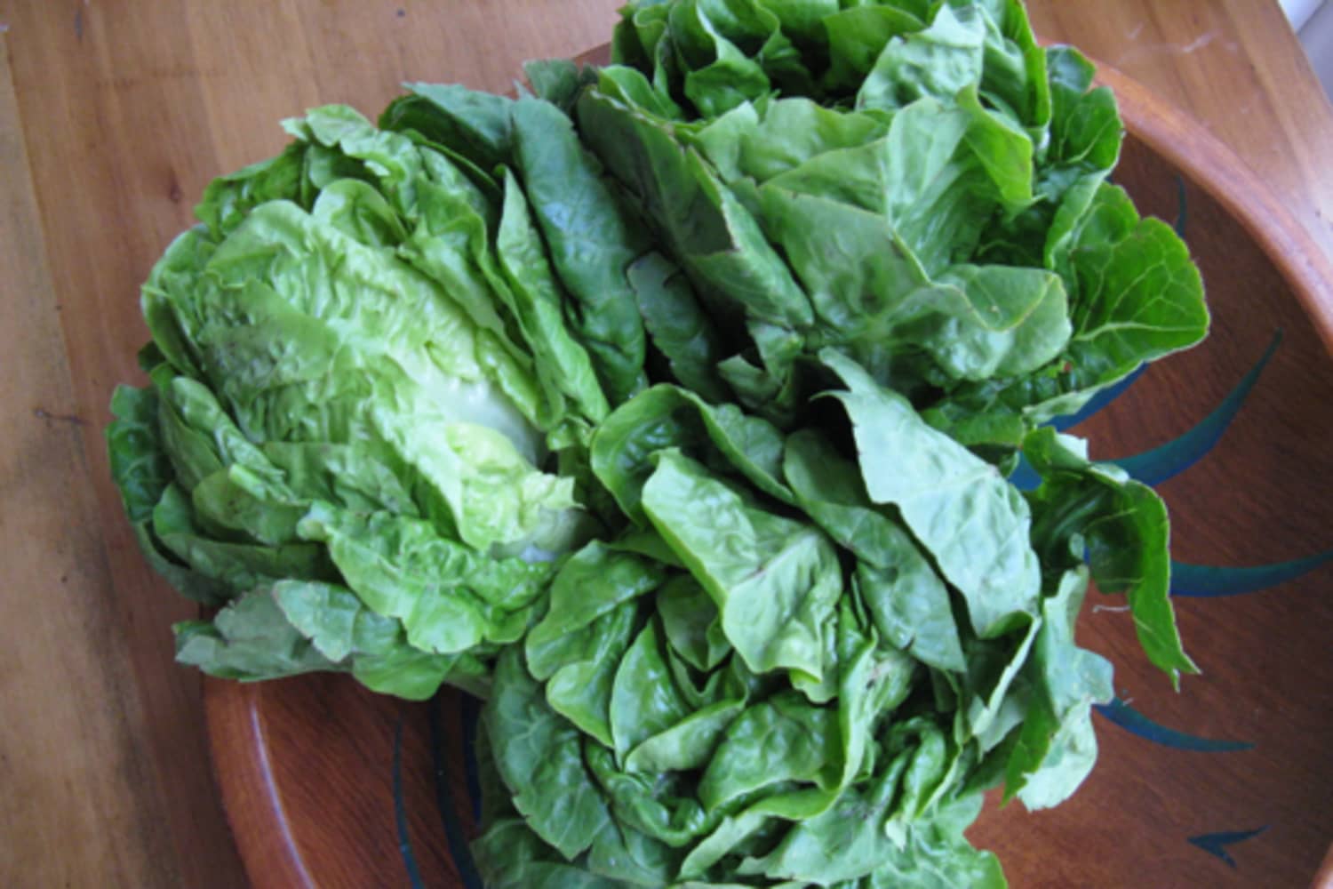 Good Eats: Little Gems Lettuce | The Kitchn