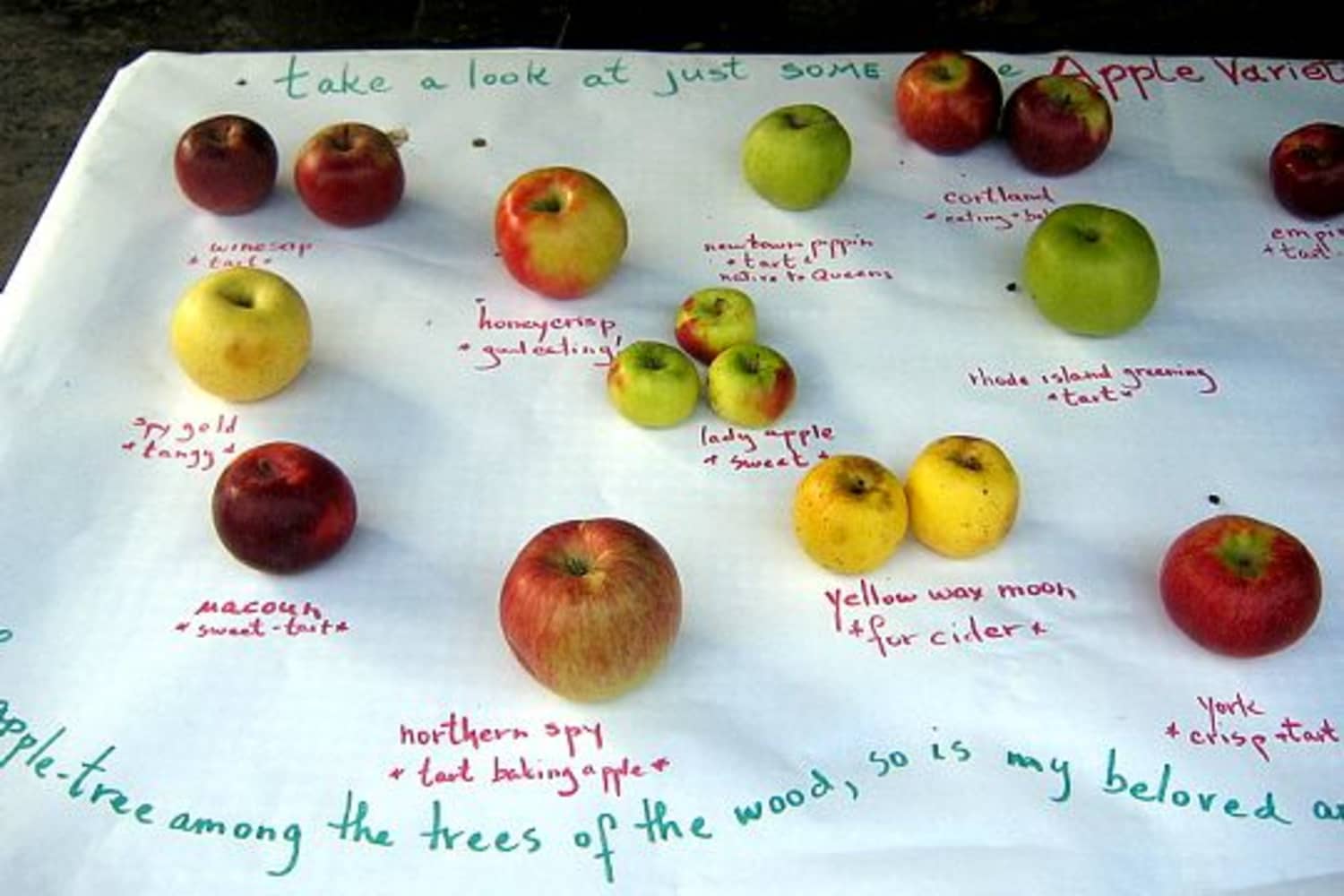 Look! Apple Chart in Union Square | The Kitchn