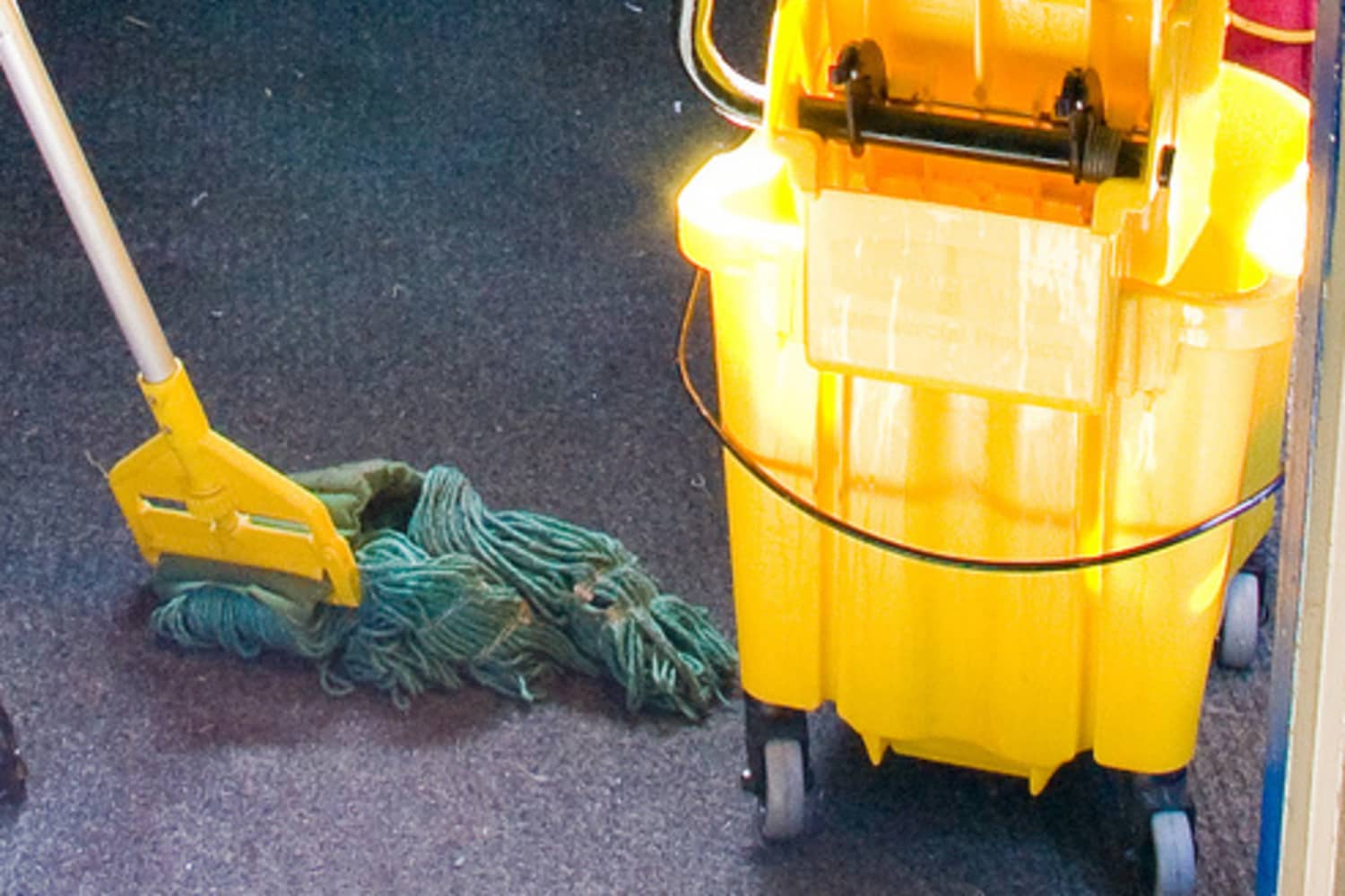 Kitchen Cleanup: Looking For One Good Mop | The Kitchn