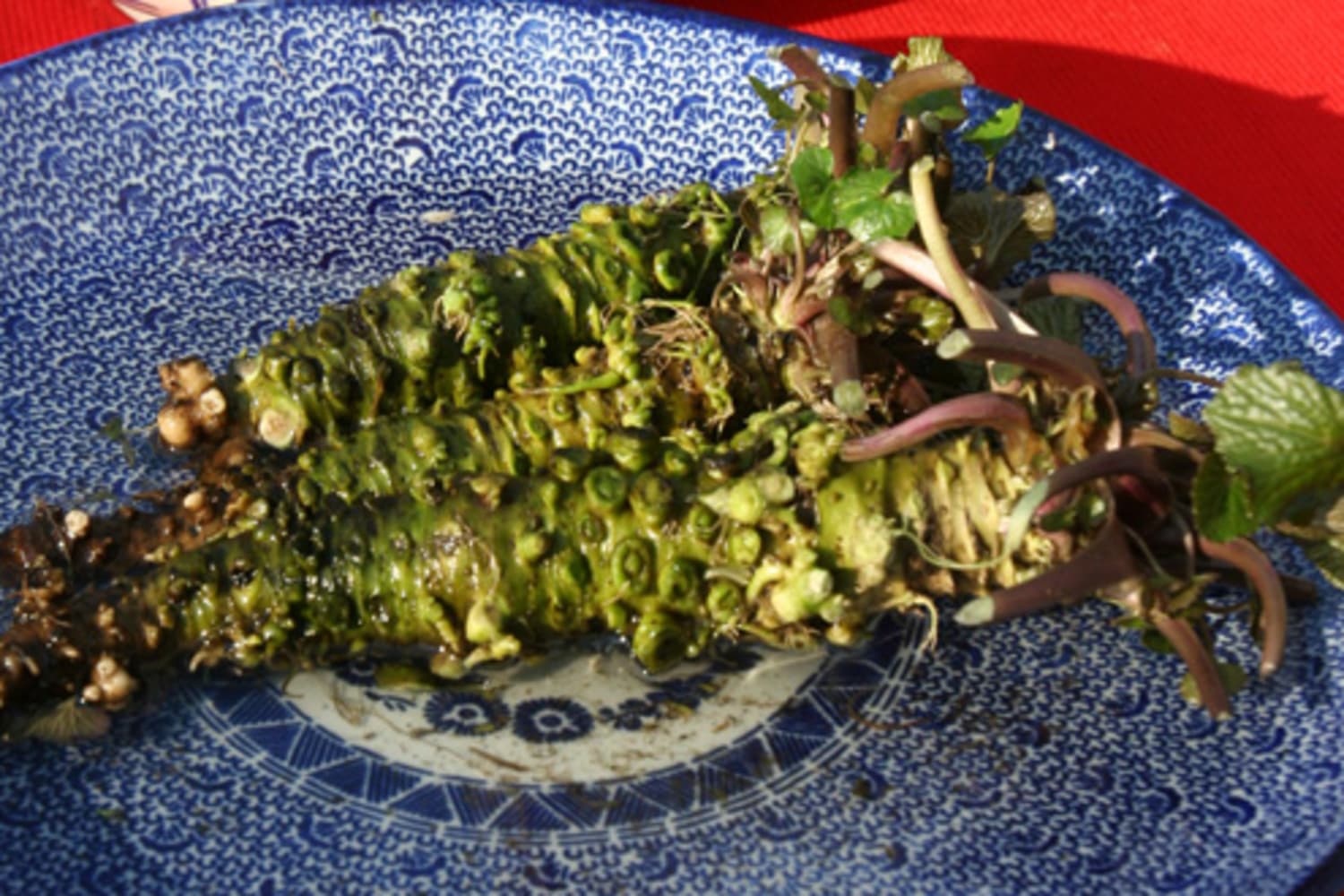 Try This: Fresh Wasabi Root | The Kitchn