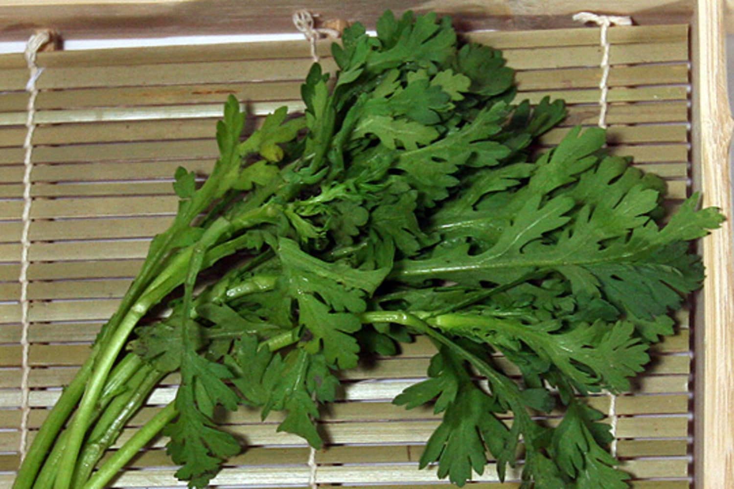 Ingredient Spotlight: Shungiku | The Kitchn