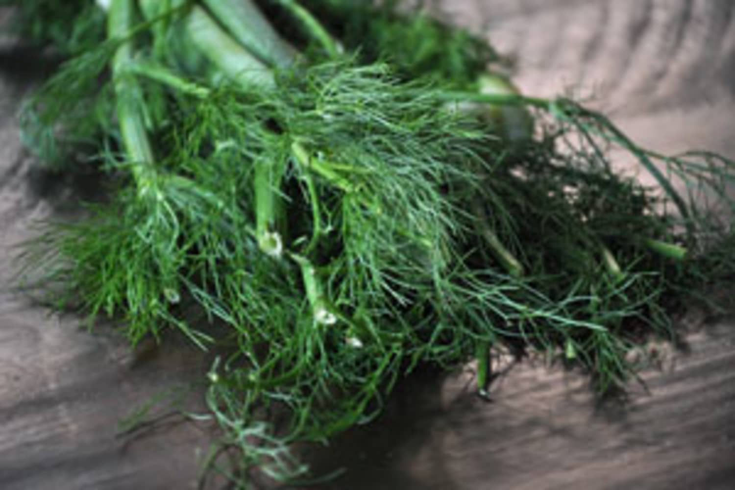 What Is Fennel, and How Do I Use It? | The Kitchn