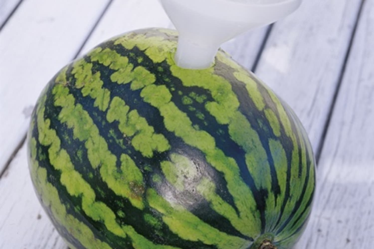 Vodka Watermelon! How to Fill a Fruit with Booze Sweet Paul | The Kitchn