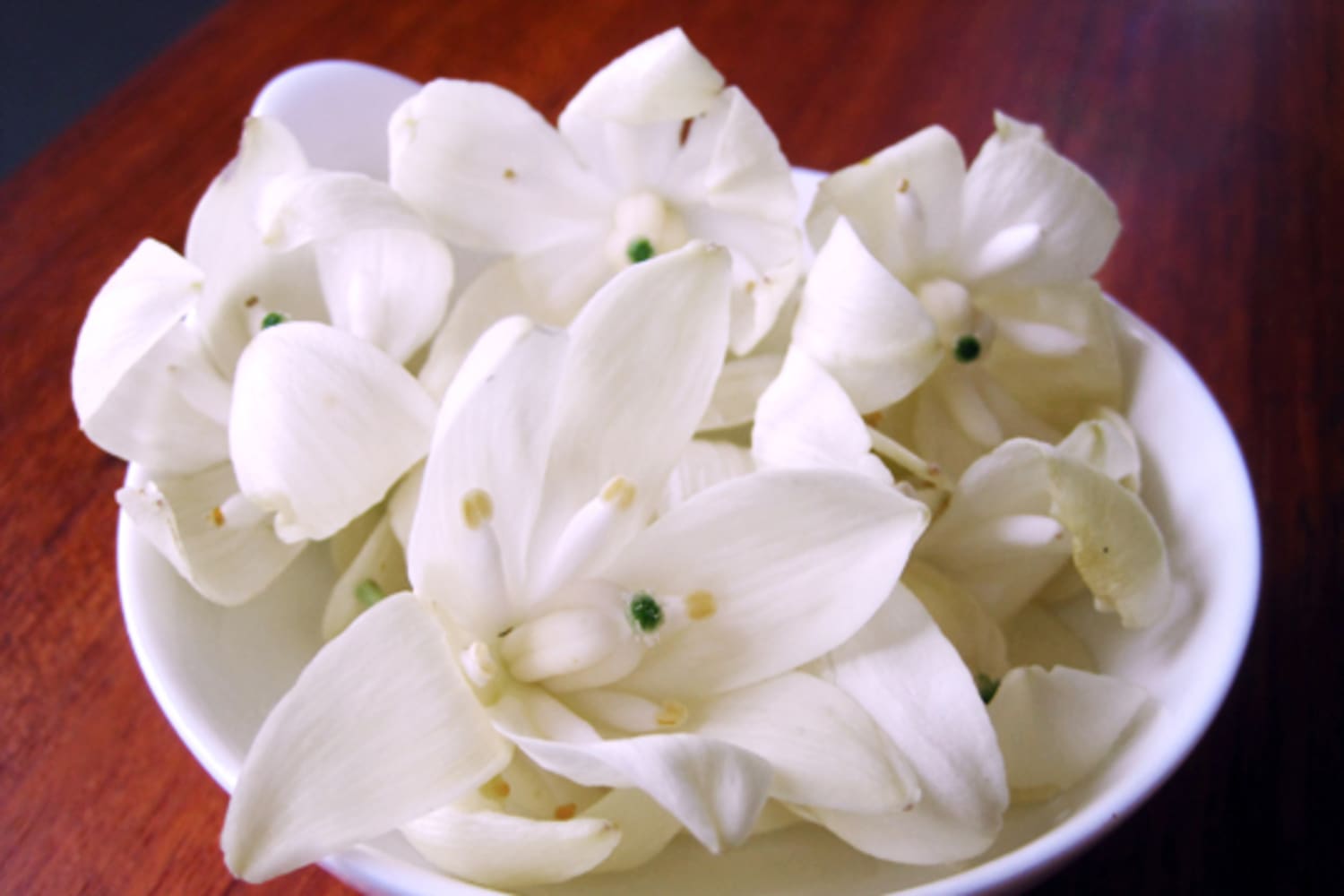Seasonal Spotlight: Yucca Flowers | The Kitchn
