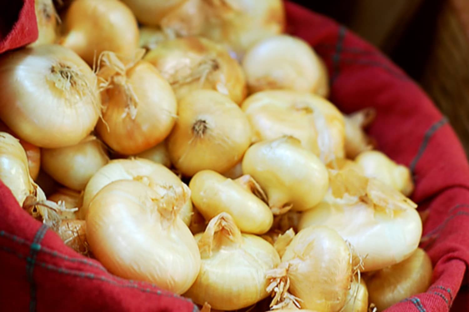 Sweet and Mild: What’s the Deal with Cipollini Onions? | The Kitchn