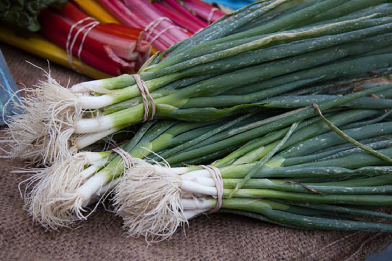 The Best Way to Store Scallions (aka Green Onions) | The Kitchn