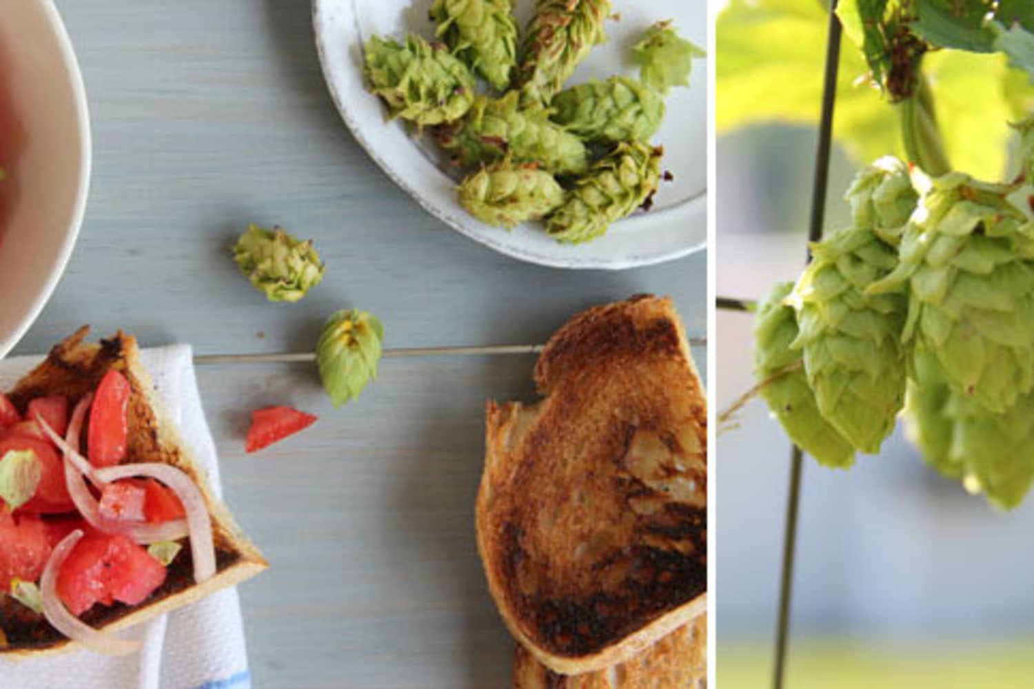 Not Just For Beer: Cooking With Hops | The Kitchn