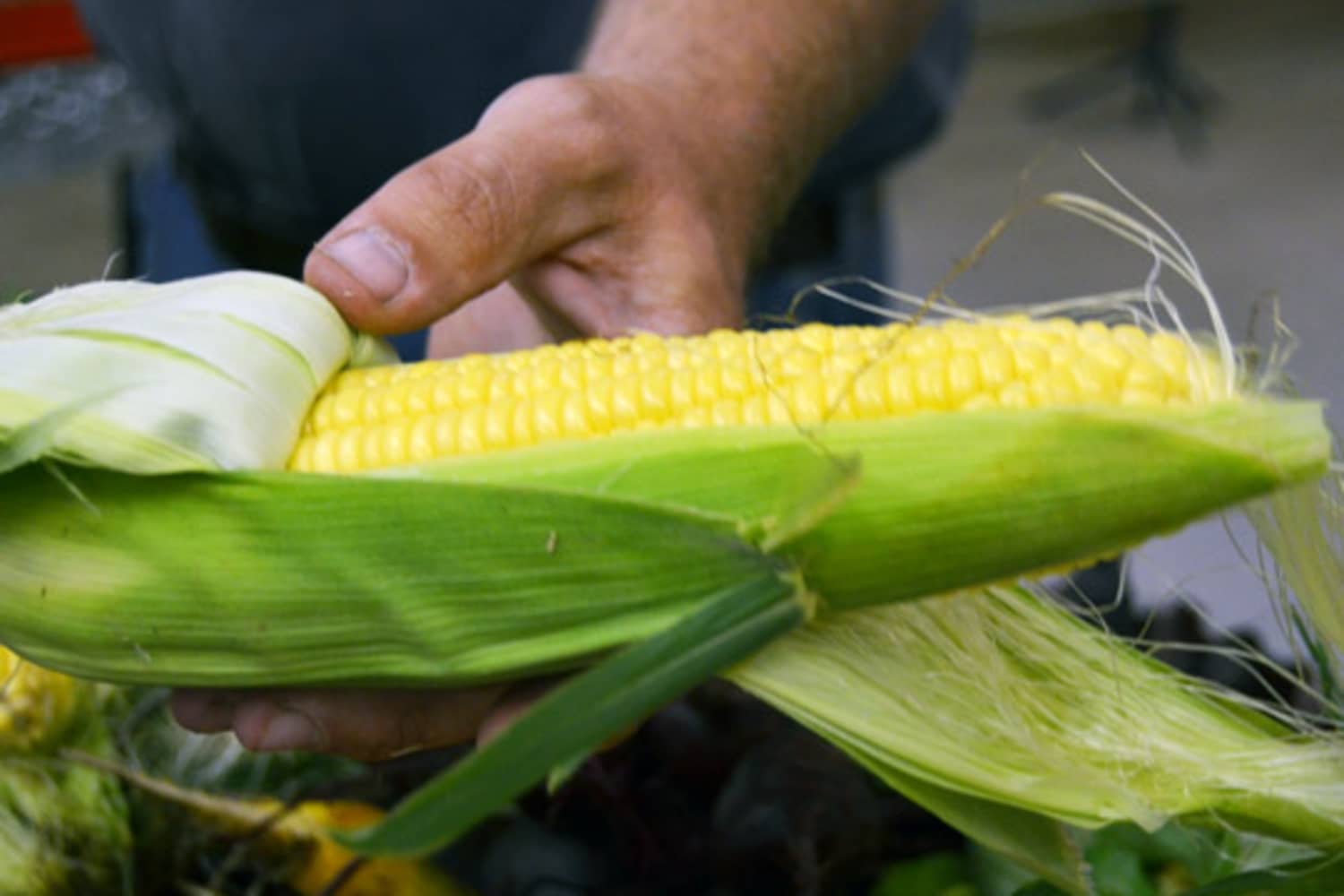 Summer Tip: Eat Your Sweet Corn Raw! | The Kitchn