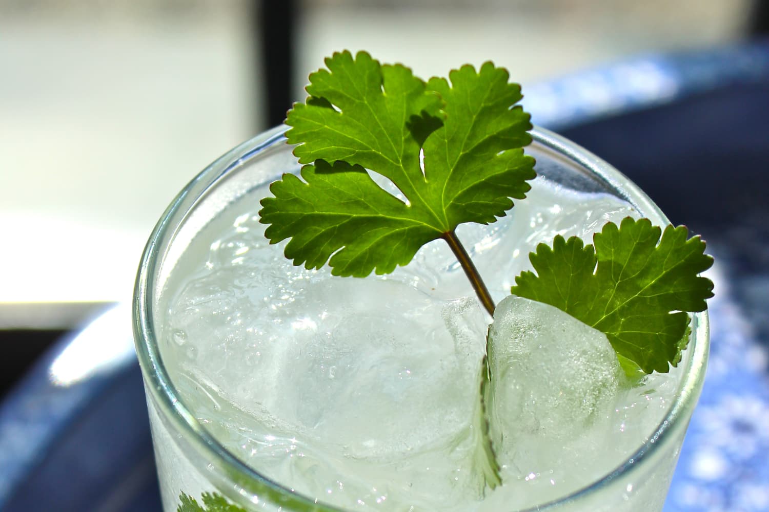 A Cooling Cocktail for a Spicy Meal: Coconut, Ginger & Cilantro ...