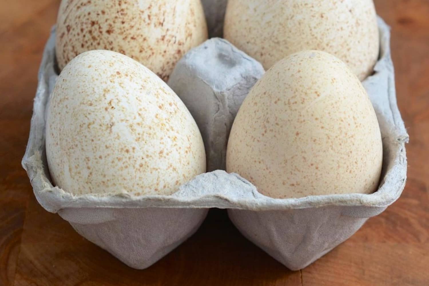 Turkey Eggs: Have You Tried Them? | The Kitchn