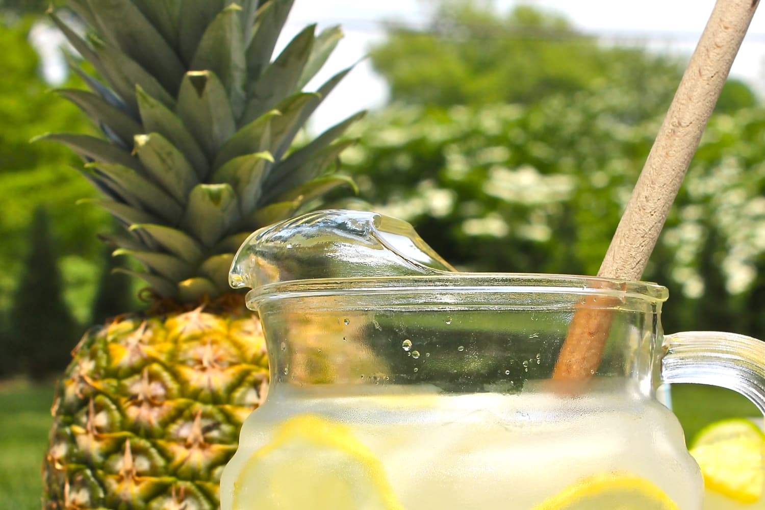 Summery Pitcher Cocktail Recipe: Peruvian Pisco Punch | The Kitchn