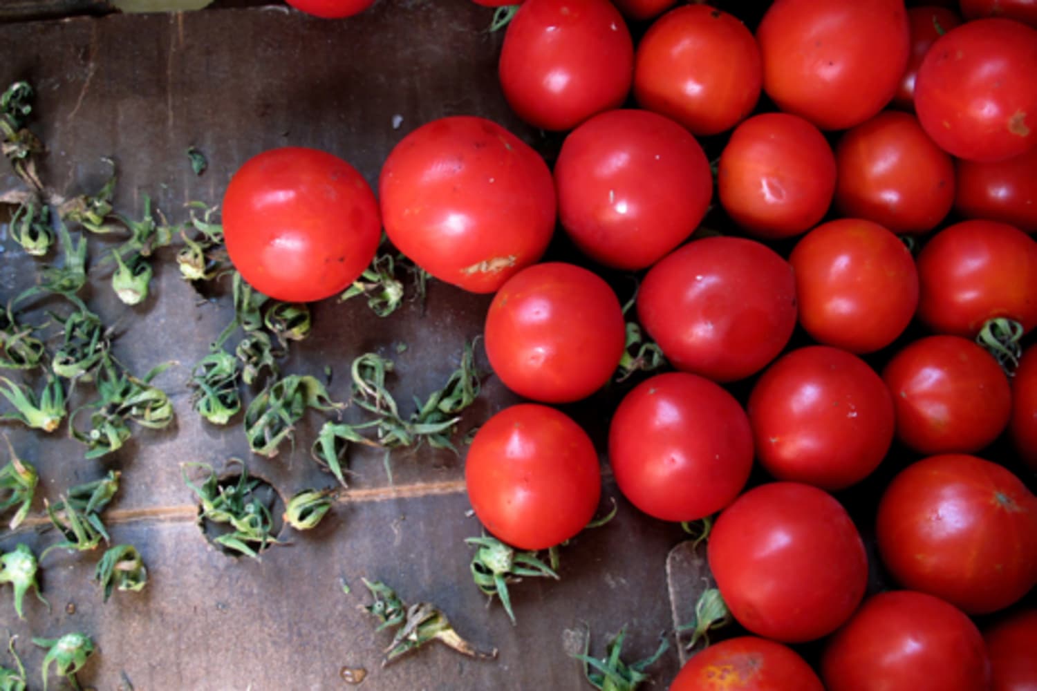 What Happens When Monsanto Buys the Patent to Your Favorite Tomato ...