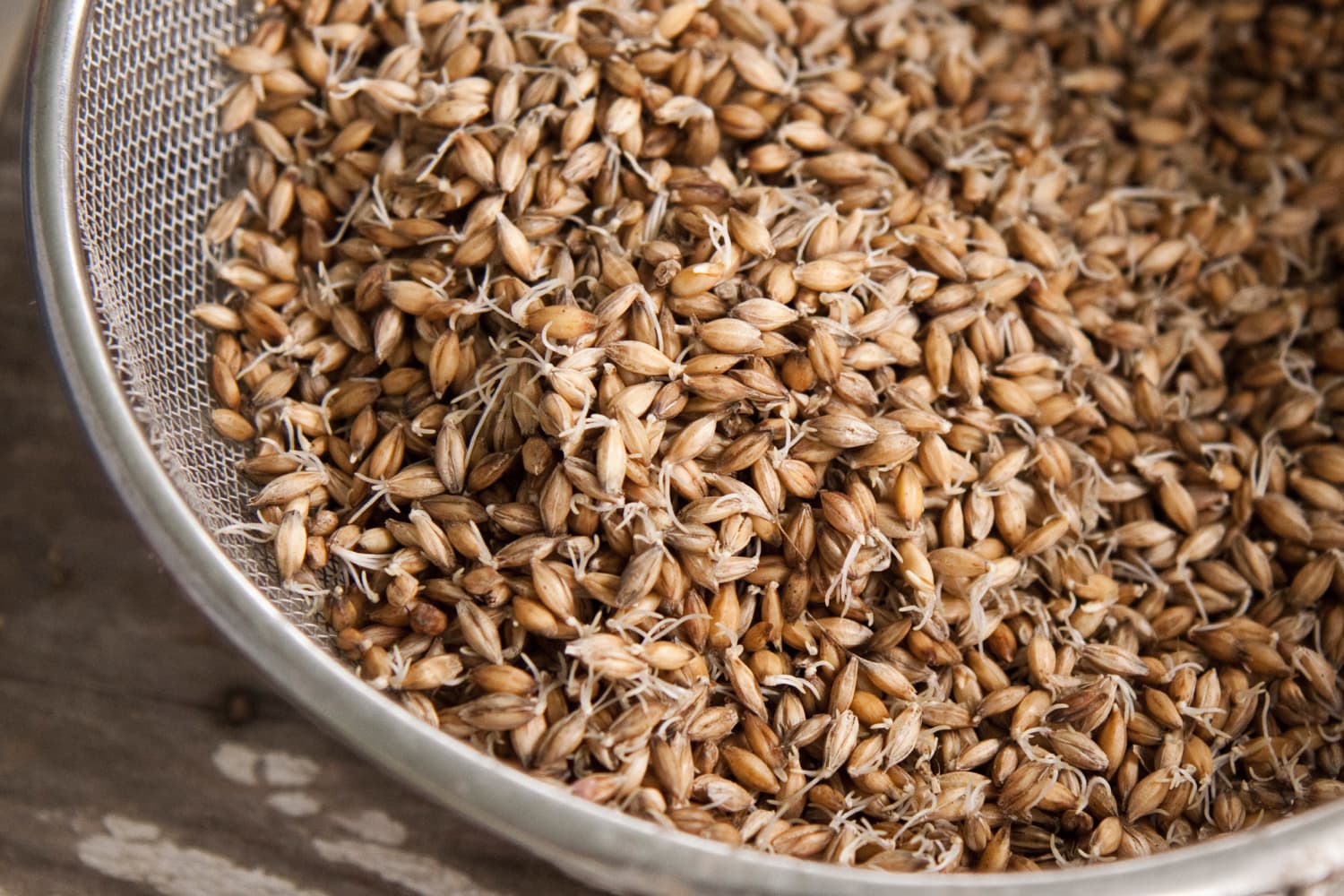 Growing Beer: A Visit to Farm Boy Farms’ Hops & Grain Farm in North ...