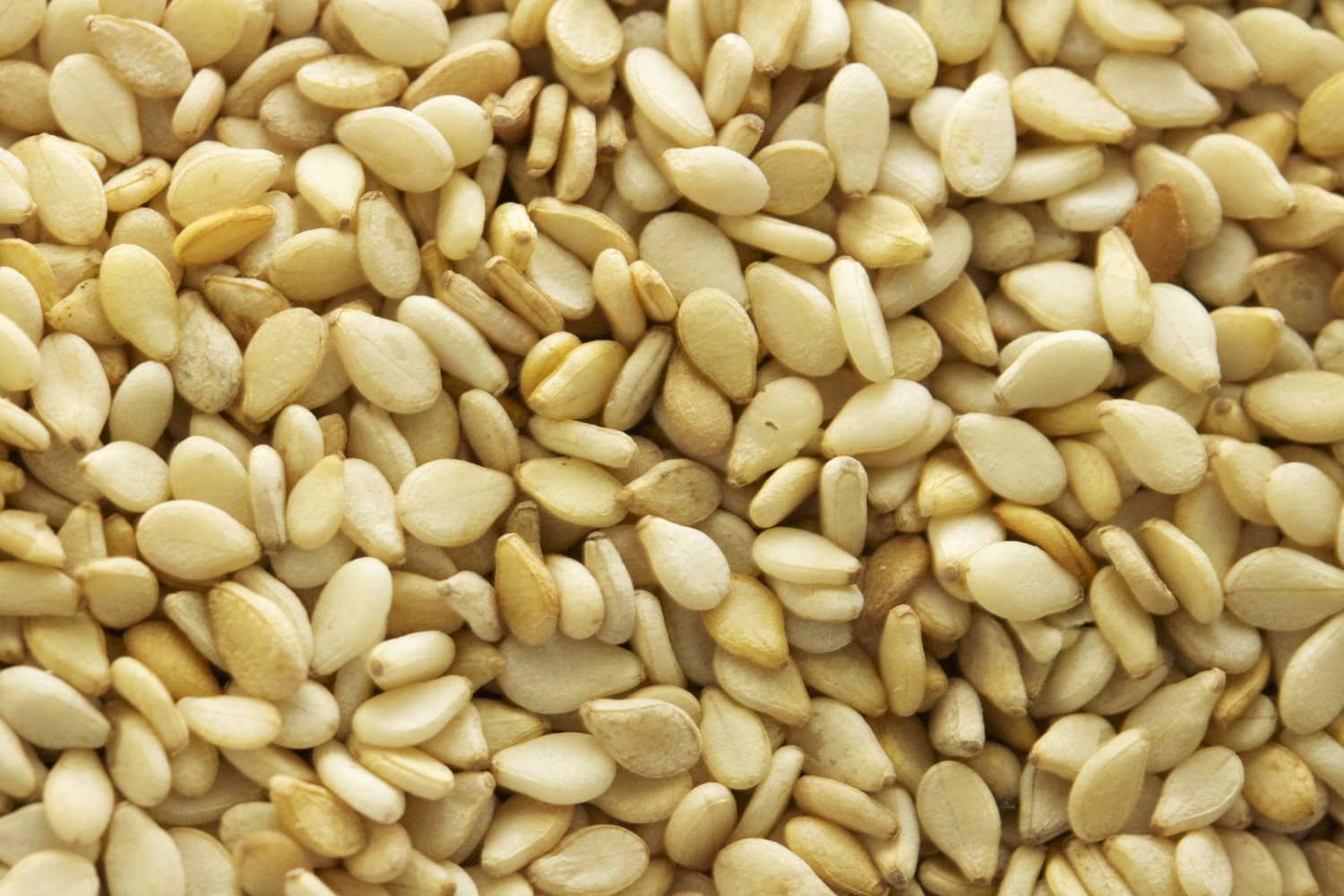 What the Heck Is a Sesame? | The Kitchn