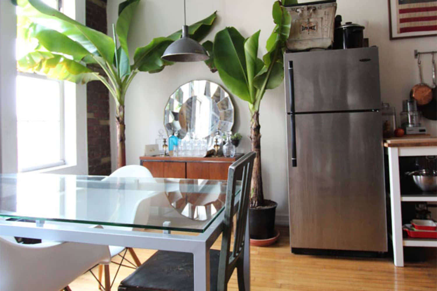 A Banana Tree in a Brooklyn Kitchen | The Kitchn