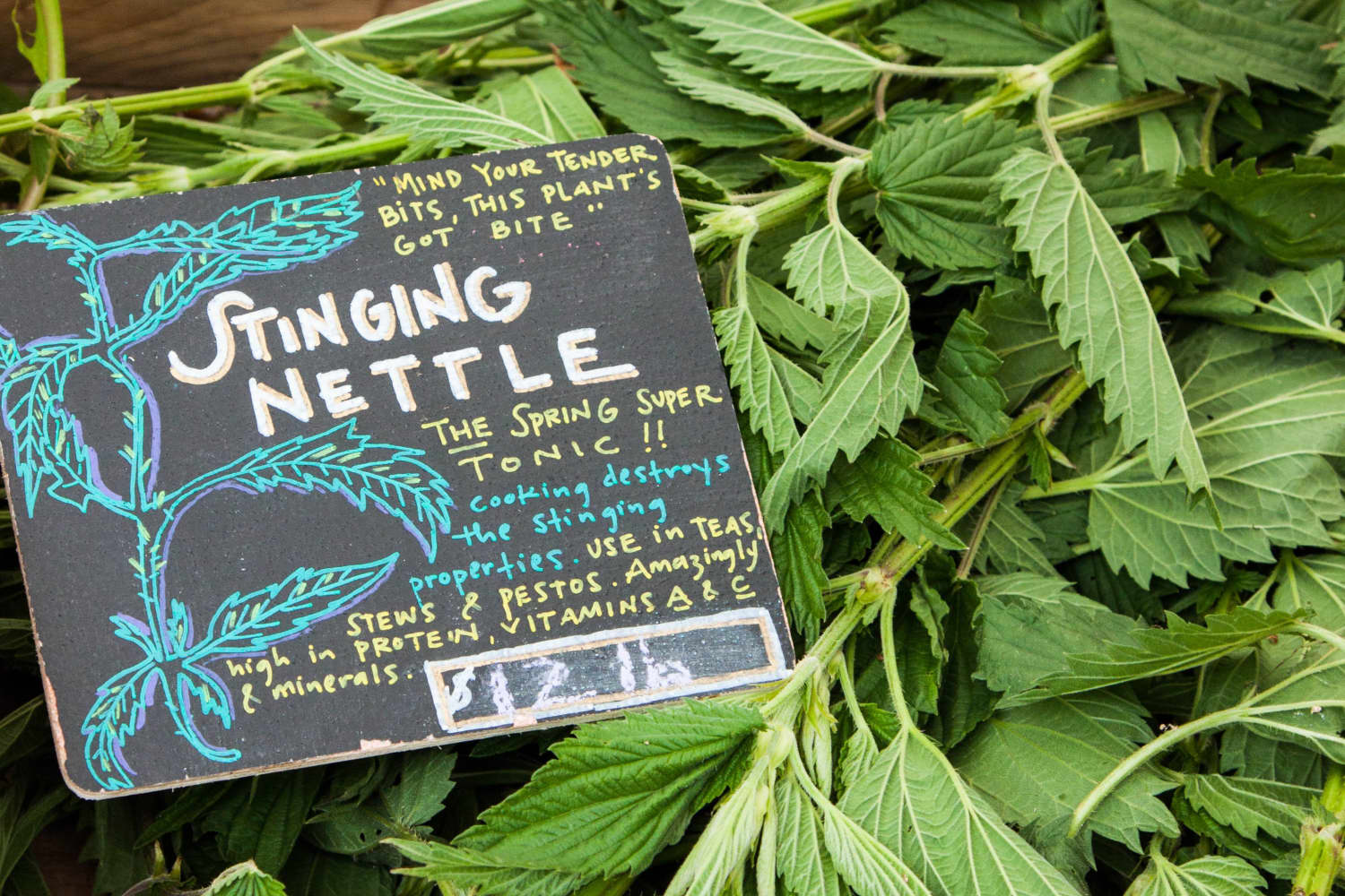 Will Stinging Nettles Really Sting You? | The Kitchn