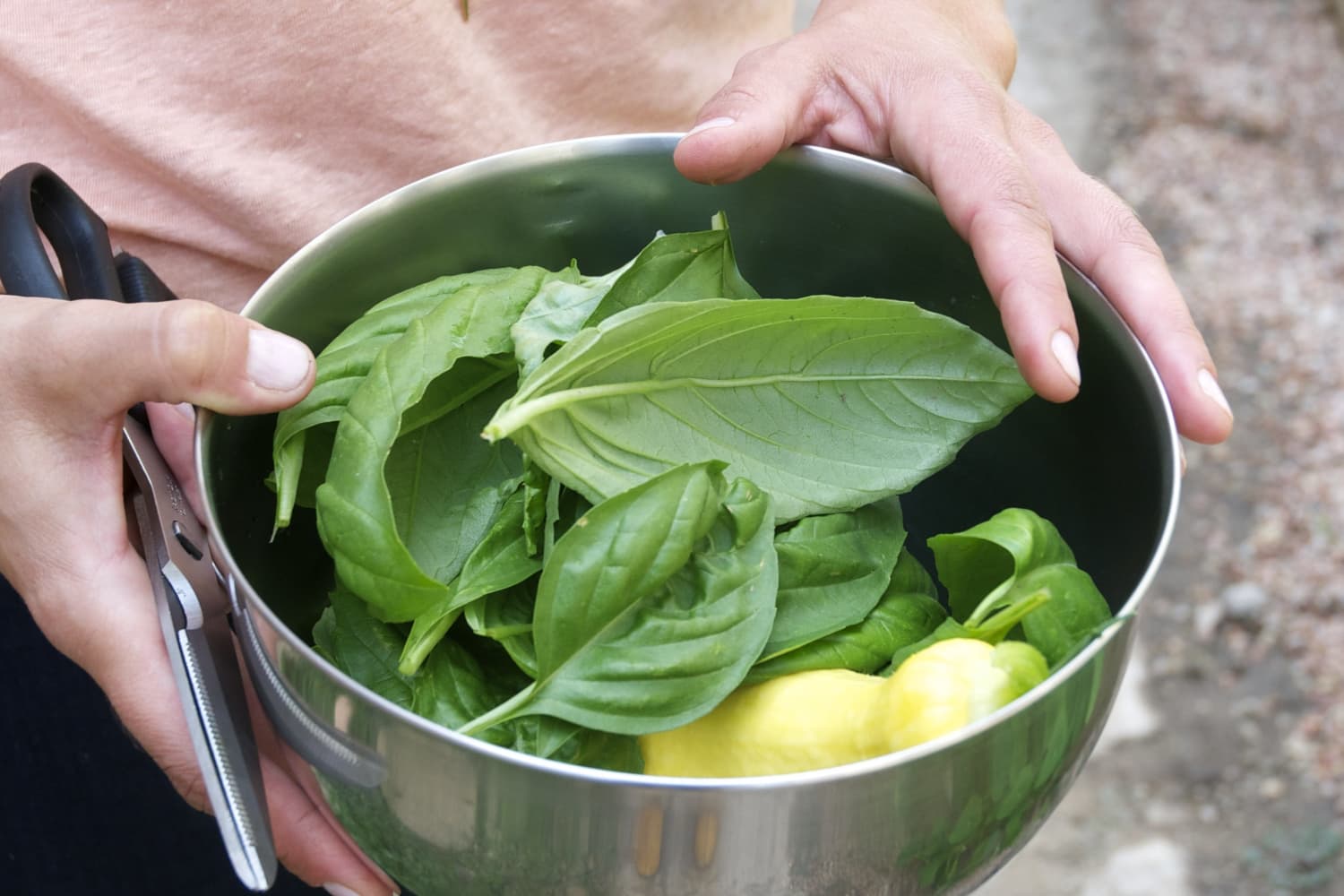 How Gardening at Home Changes the Way You Cook | The Kitchn