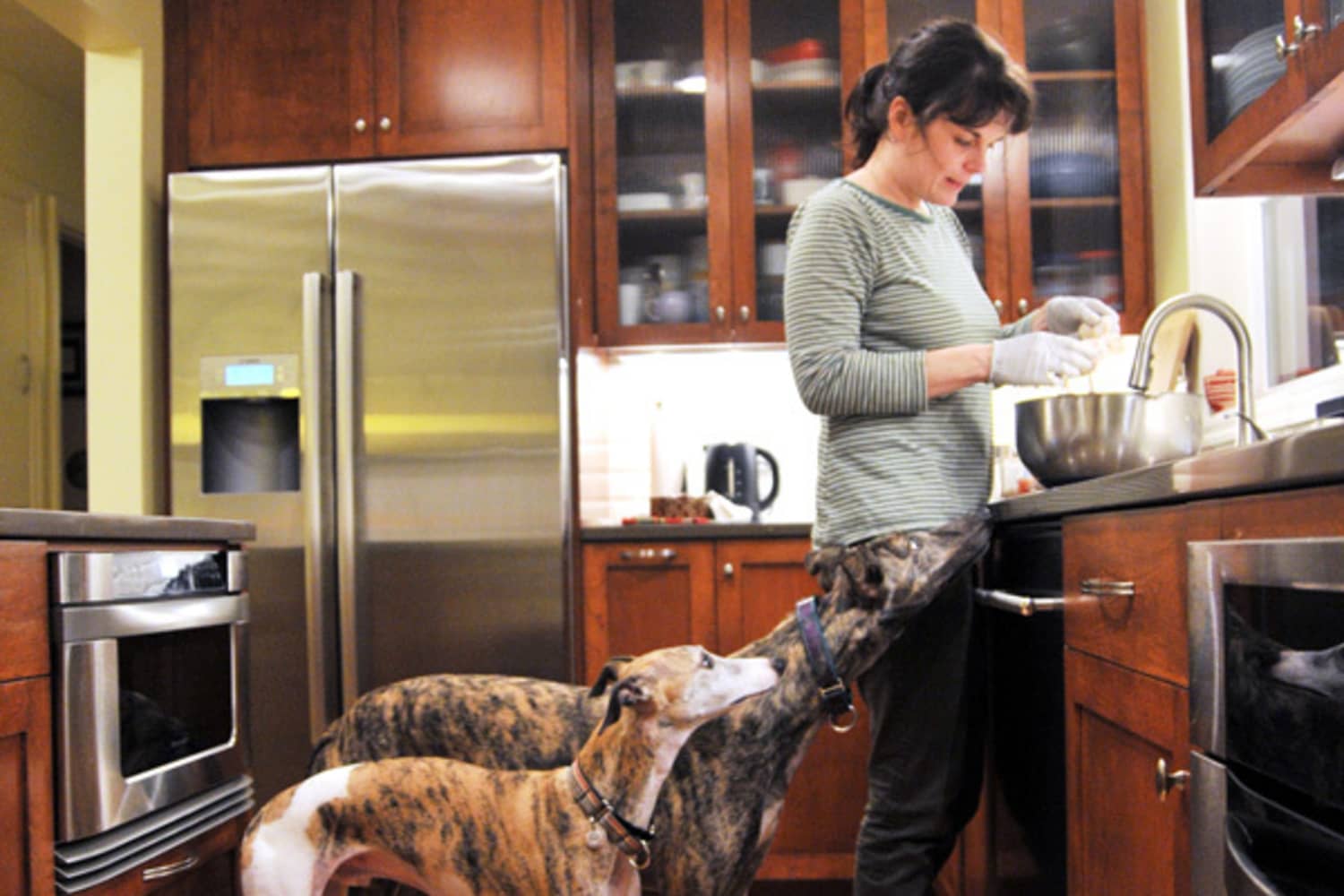 15 Adorable Pets Who Make Their Kitchen a Happier Place | The Kitchn