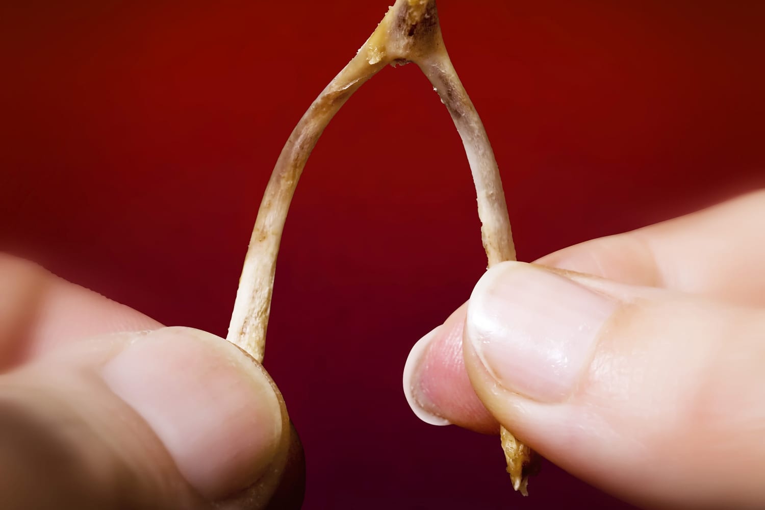 Where is the Wishbone? (And What Even Is It?) | The Kitchn