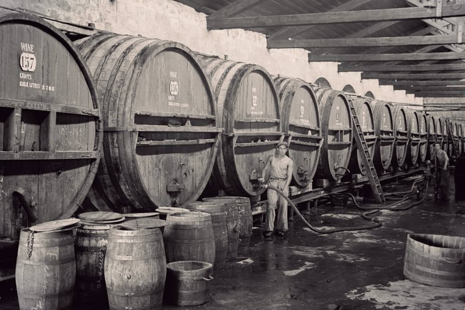 Fermentation Was Probably the First Great Moment in Food Science | The ...