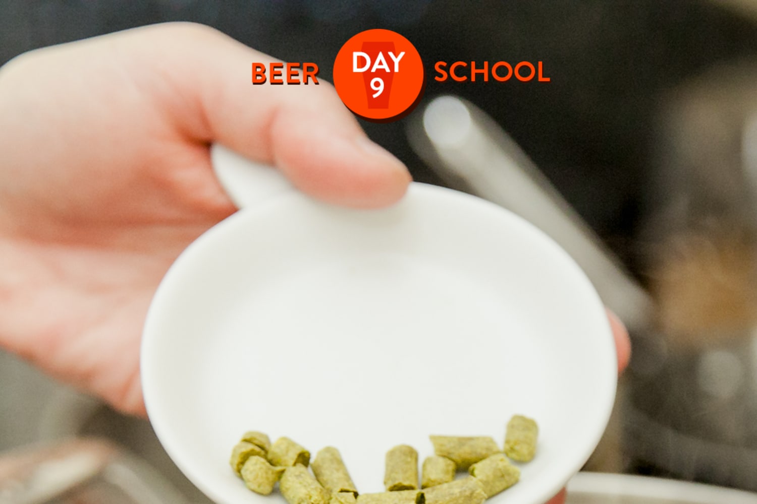 Brew Day Hour 3: The Hop Boil | The Kitchn