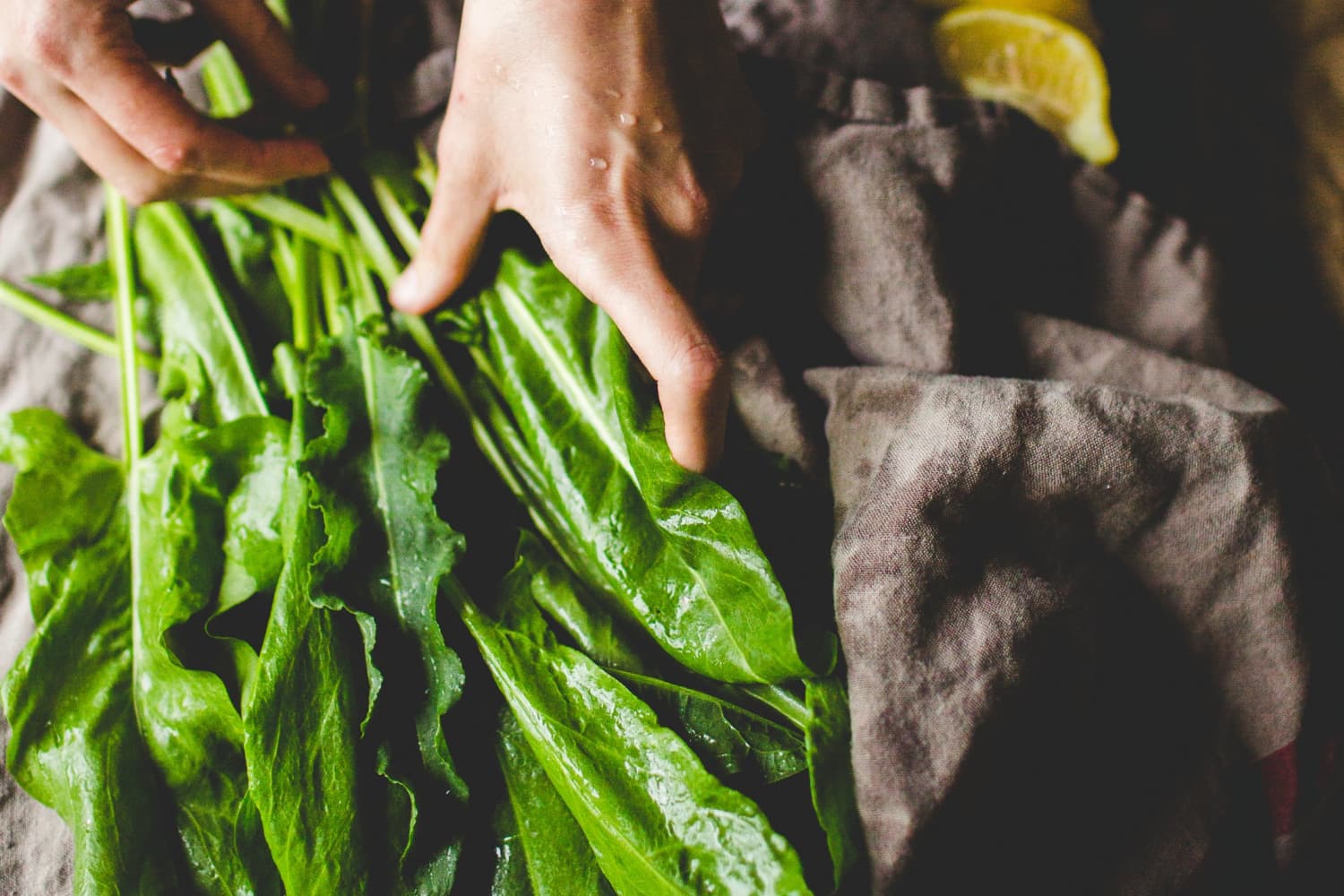 Sorrel Is the Lemon of the Vegetable World | The Kitchn