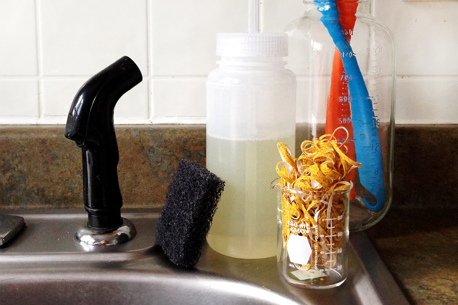 A Guide to the Great and Mighty Kitchen Scrub Brush | The Kitchn