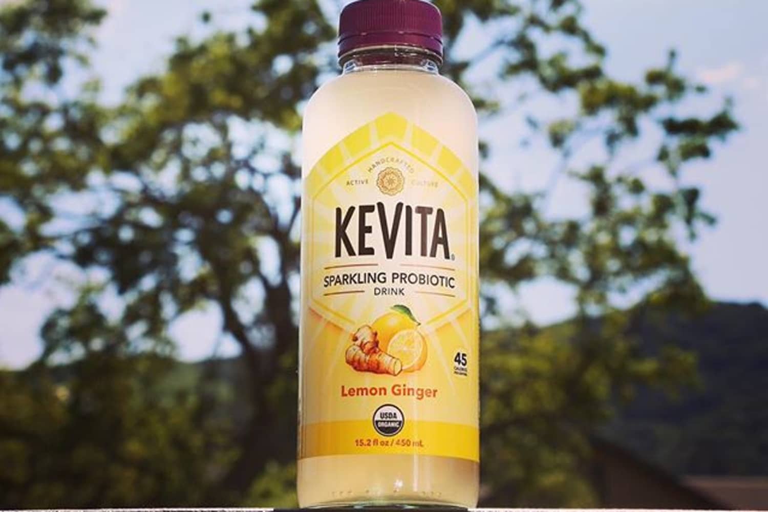 The Probiotic Drink That Will Having You Saying “Yes Whey!” | The Kitchn