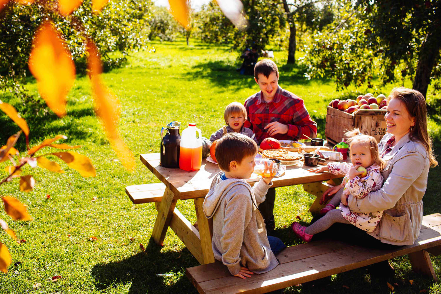 10 Tips for Organizing an Apple-Picking Outing with Kids | The Kitchn