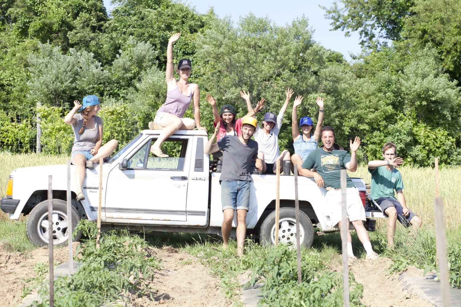 New USDA Program Makes It Easier for Farmers to Farm Organically | The ...