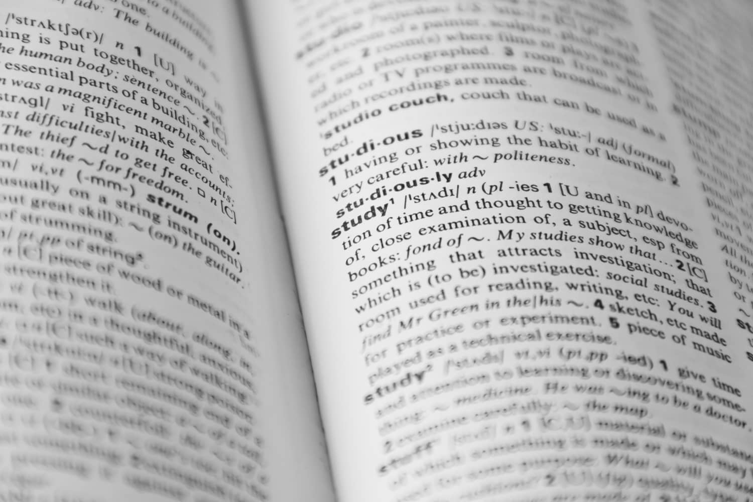 Merriam-Webster Adds 30 New Food-Related Words to Dictionary | The Kitchn
