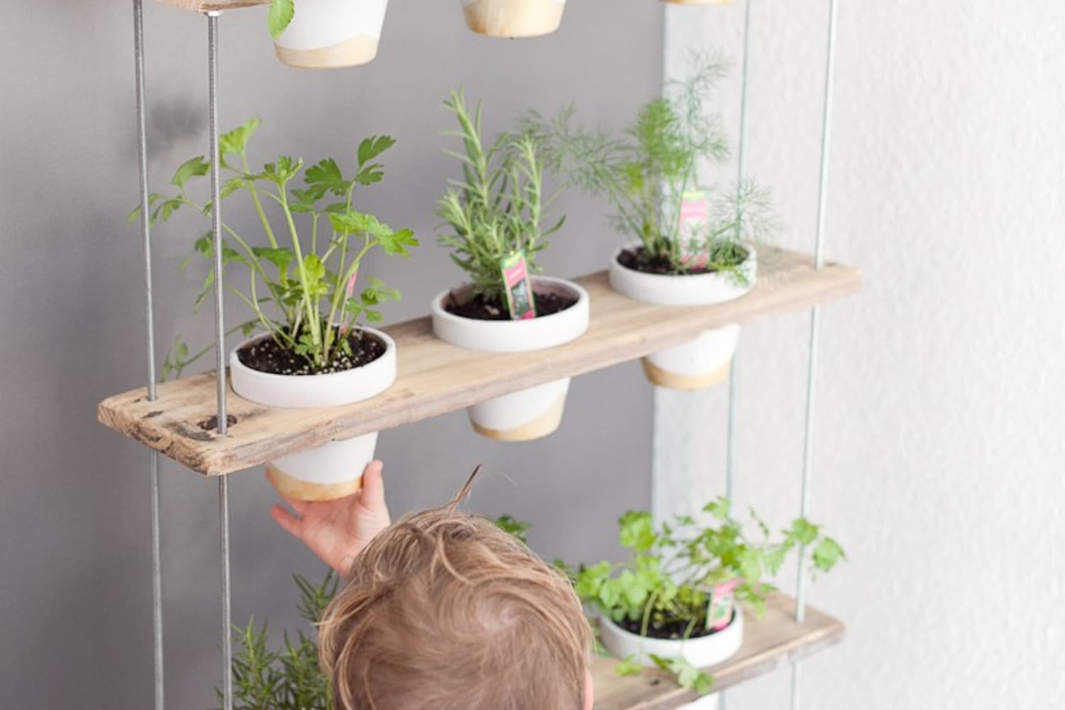 This DIY Herb Wall Is the Most Stylish Way to Add Green to Your Kitchen ...