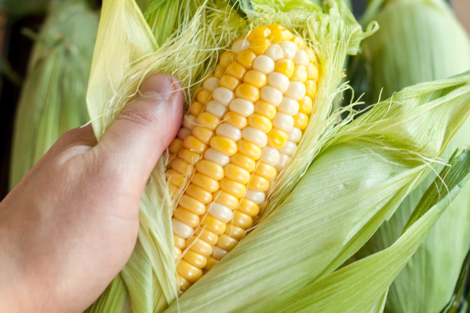 Not to Brag, but I Always Pick the Best Corn. Here’s How I Do It. | The ...